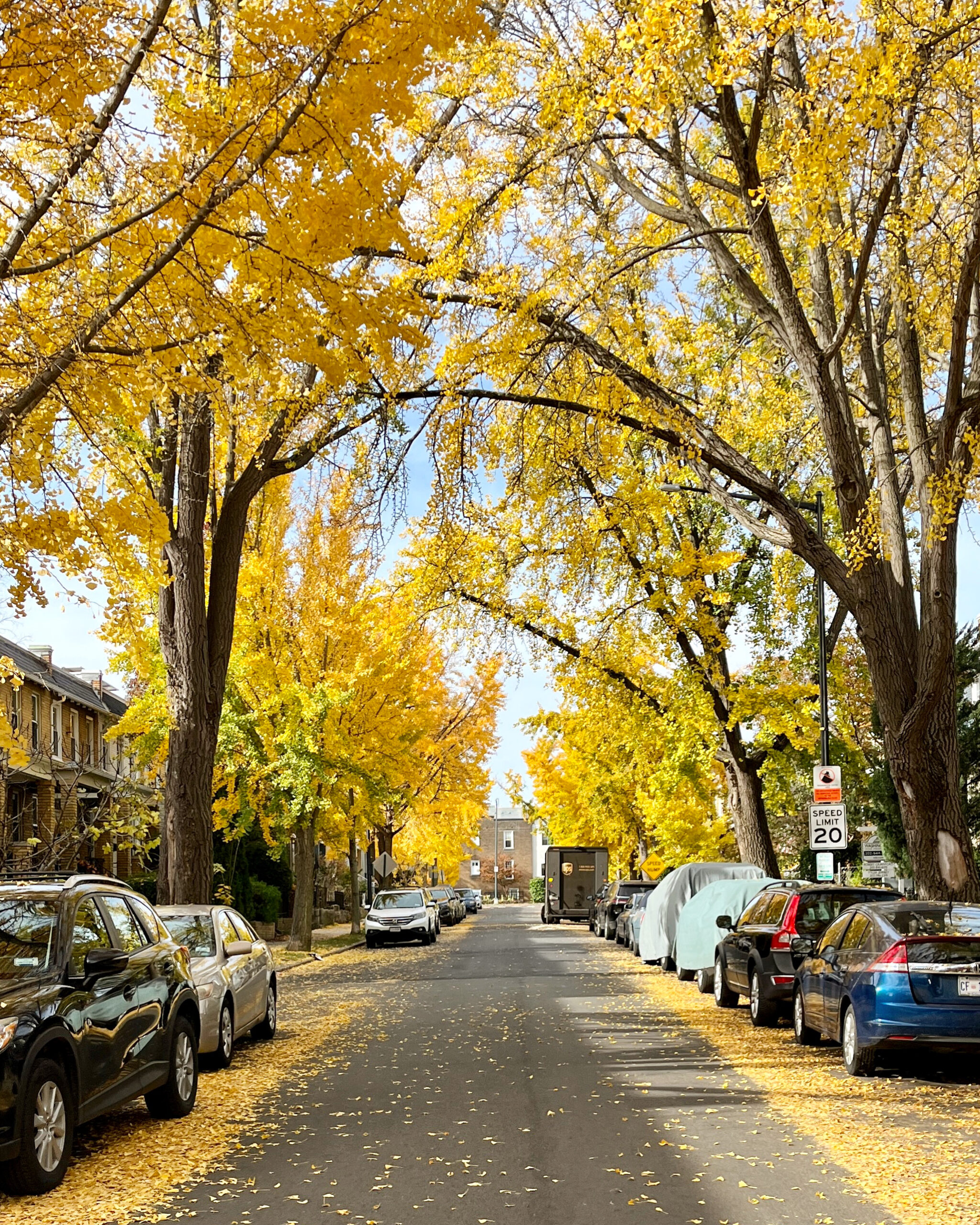 D.C. Ward 6 Neighborhood Guides - Curiosity & Connection