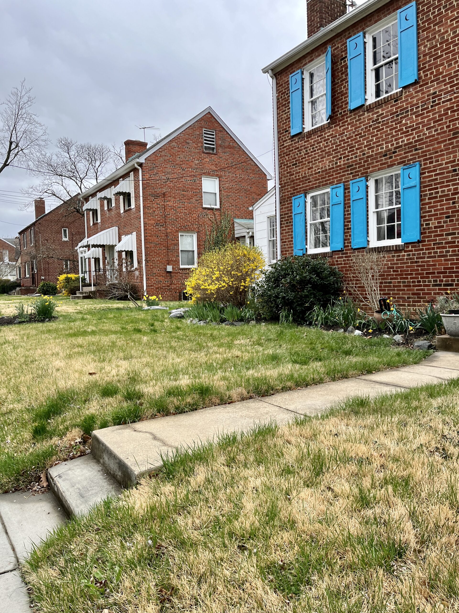 D.C. Ward 7 Neighborhood Guides - Curiosity & Connection